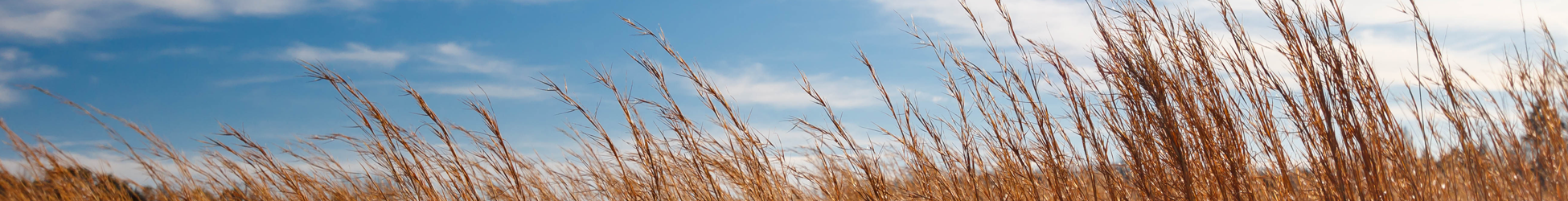 Applications | Teledyne API